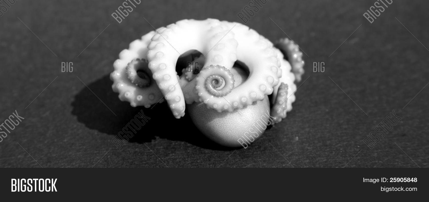 Baby Boiled "Octopus Image & Photo (Free Trial) | Bigstock