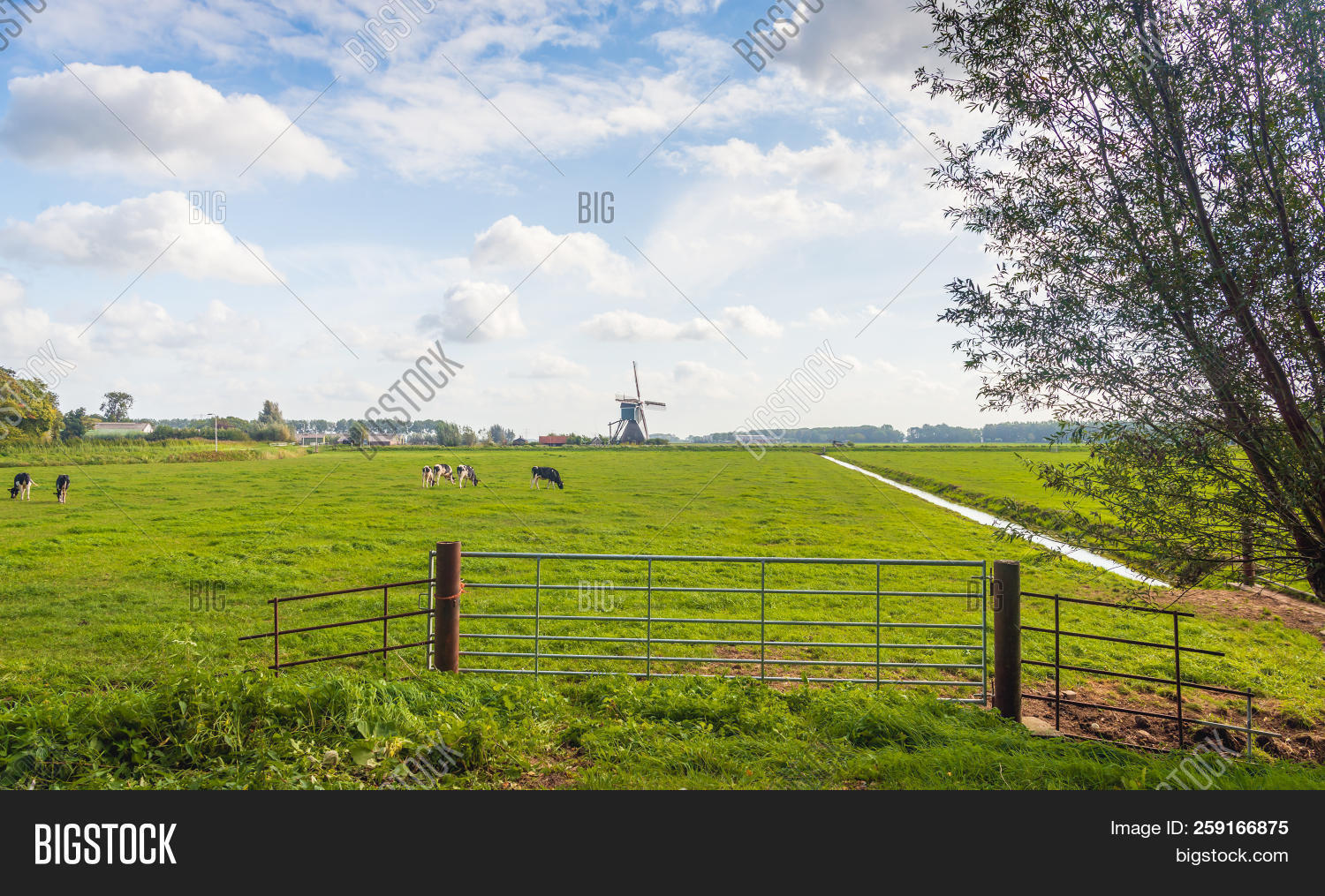 Typical Dutch Polder Image & Photo (Free Trial) | Bigstock