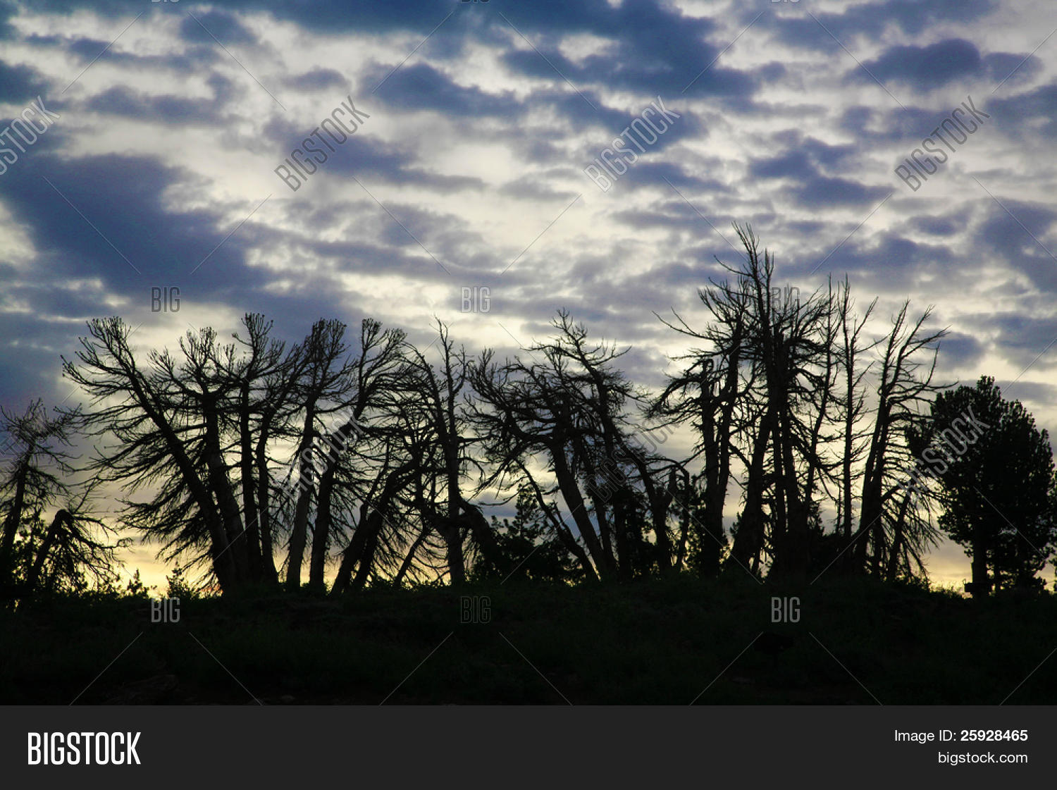 Beautiful Breath Image & Photo (Free Trial) | Bigstock