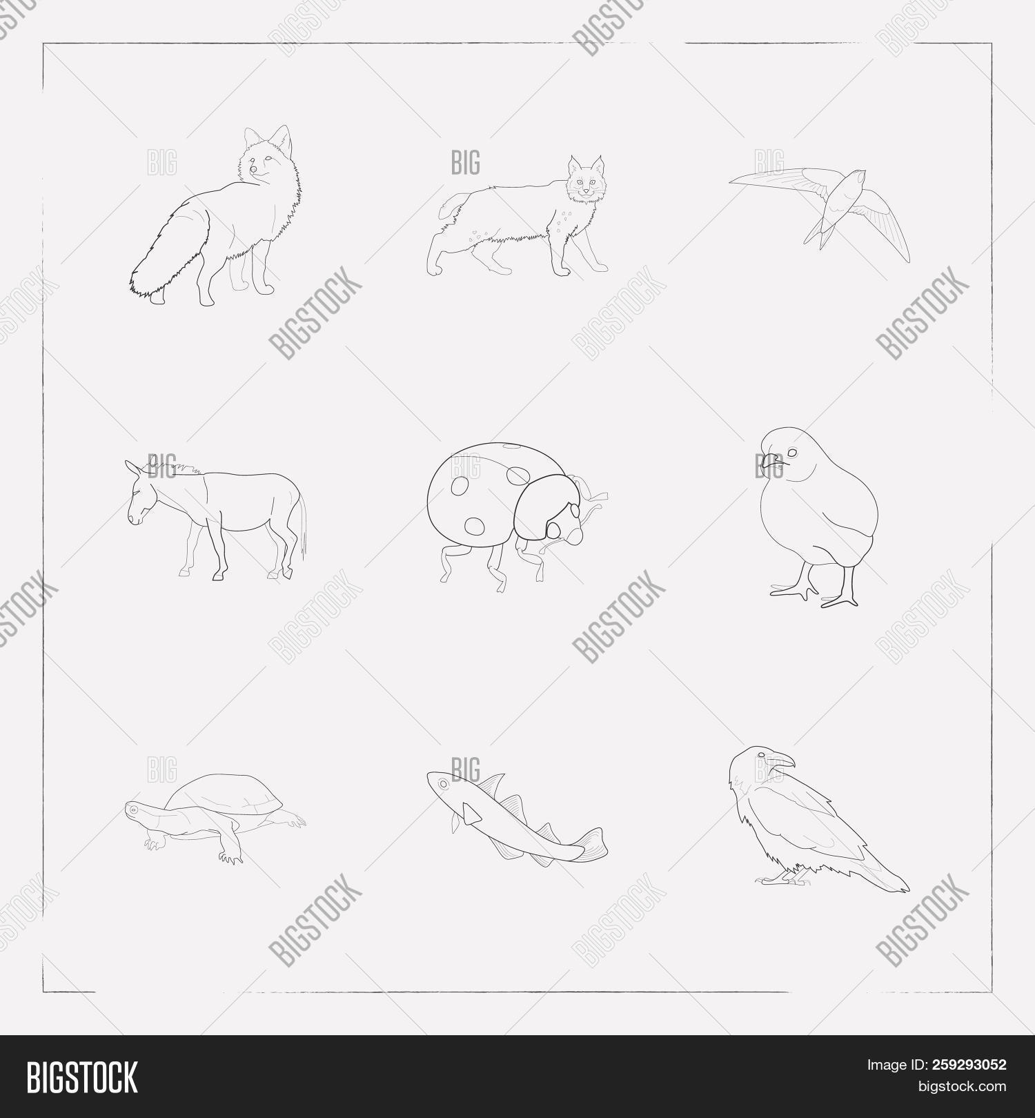 Set Alive Icons Line Image & Photo (Free Trial) | Bigstock