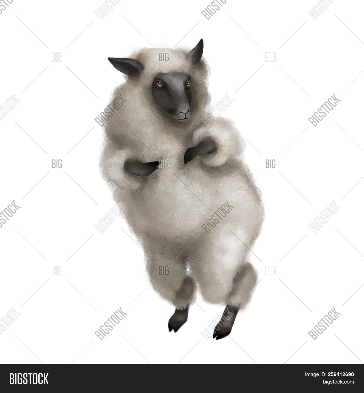 Sheep On Their Hind Image & Photo (Free Trial) | Bigstock