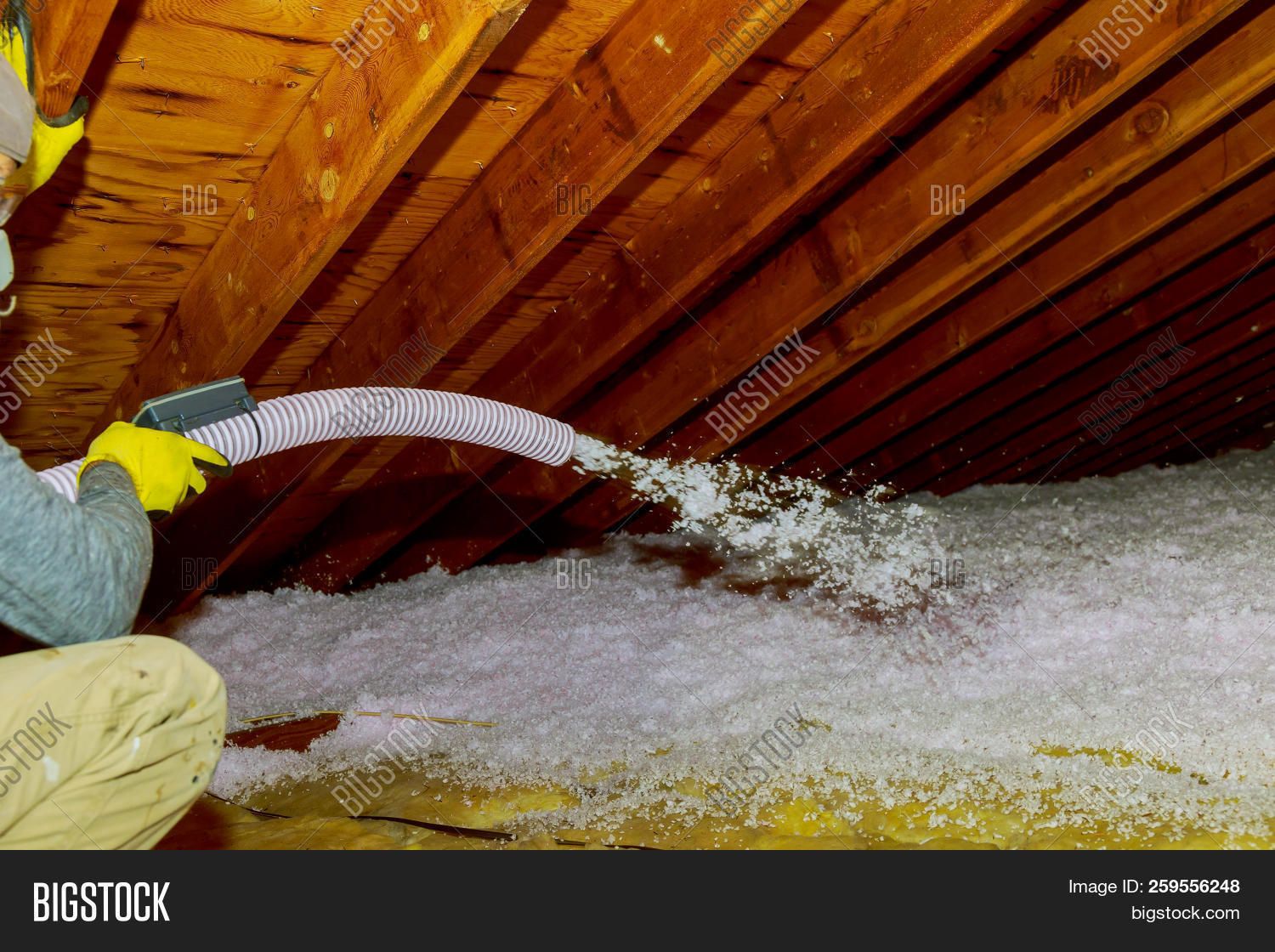 Technician Spraying Image & Photo (Free Trial) | Bigstock