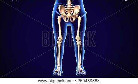 3d Illustration Baby Image & Photo (Free Trial) | Bigstock