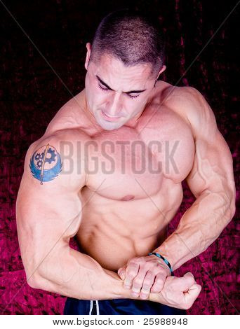 Perfect Muscular Male Image & Photo (Free Trial) | Bigstock