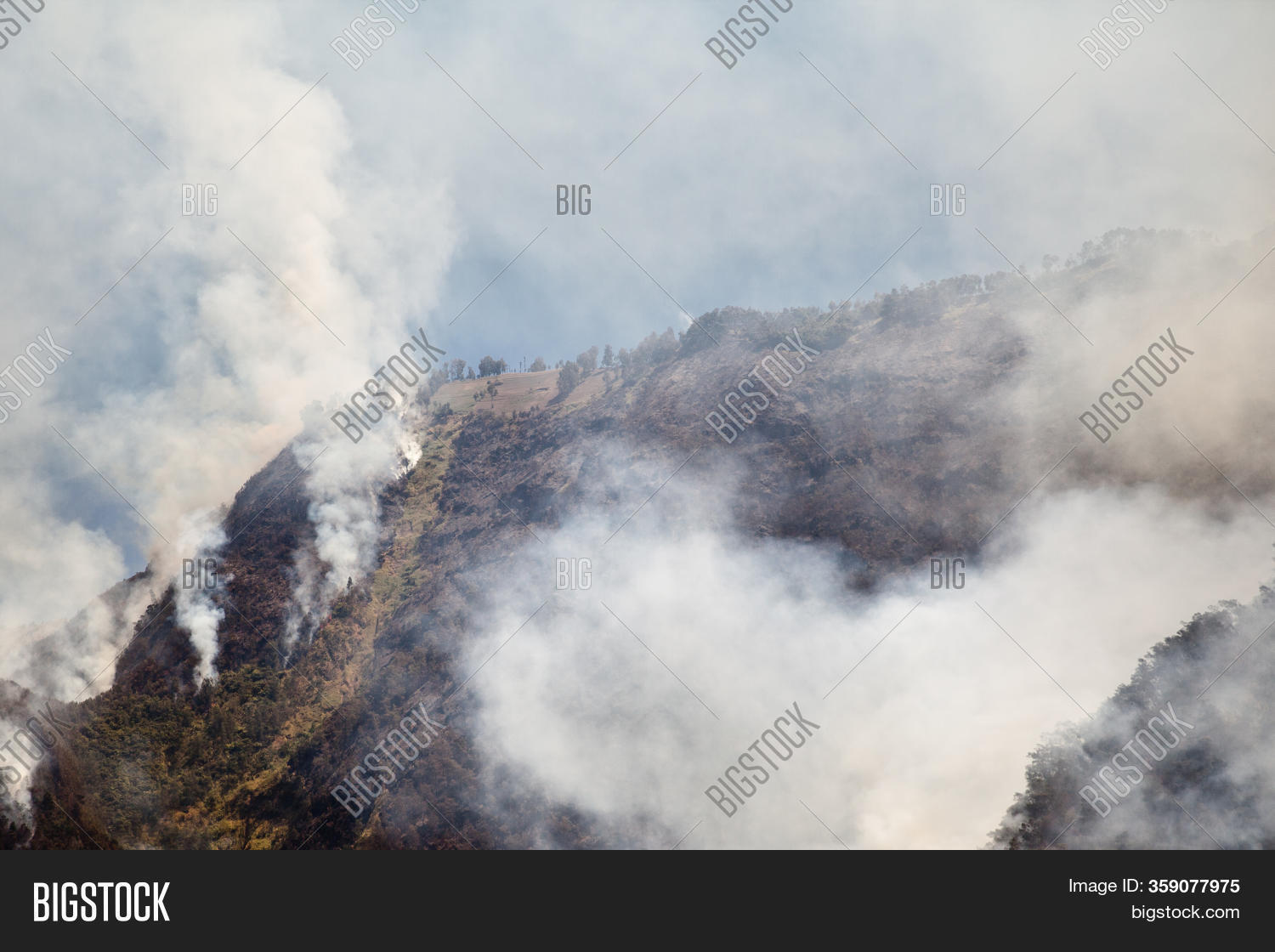 Fire Mountain Forest. Image & Photo (Free Trial) | Bigstock