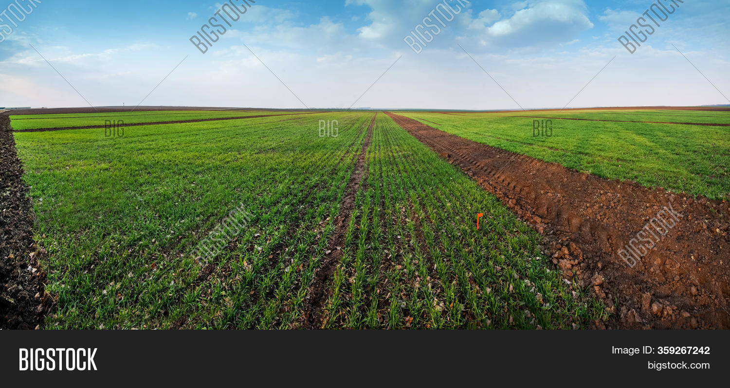 Agrarian Landscape Image & Photo (Free Trial) | Bigstock