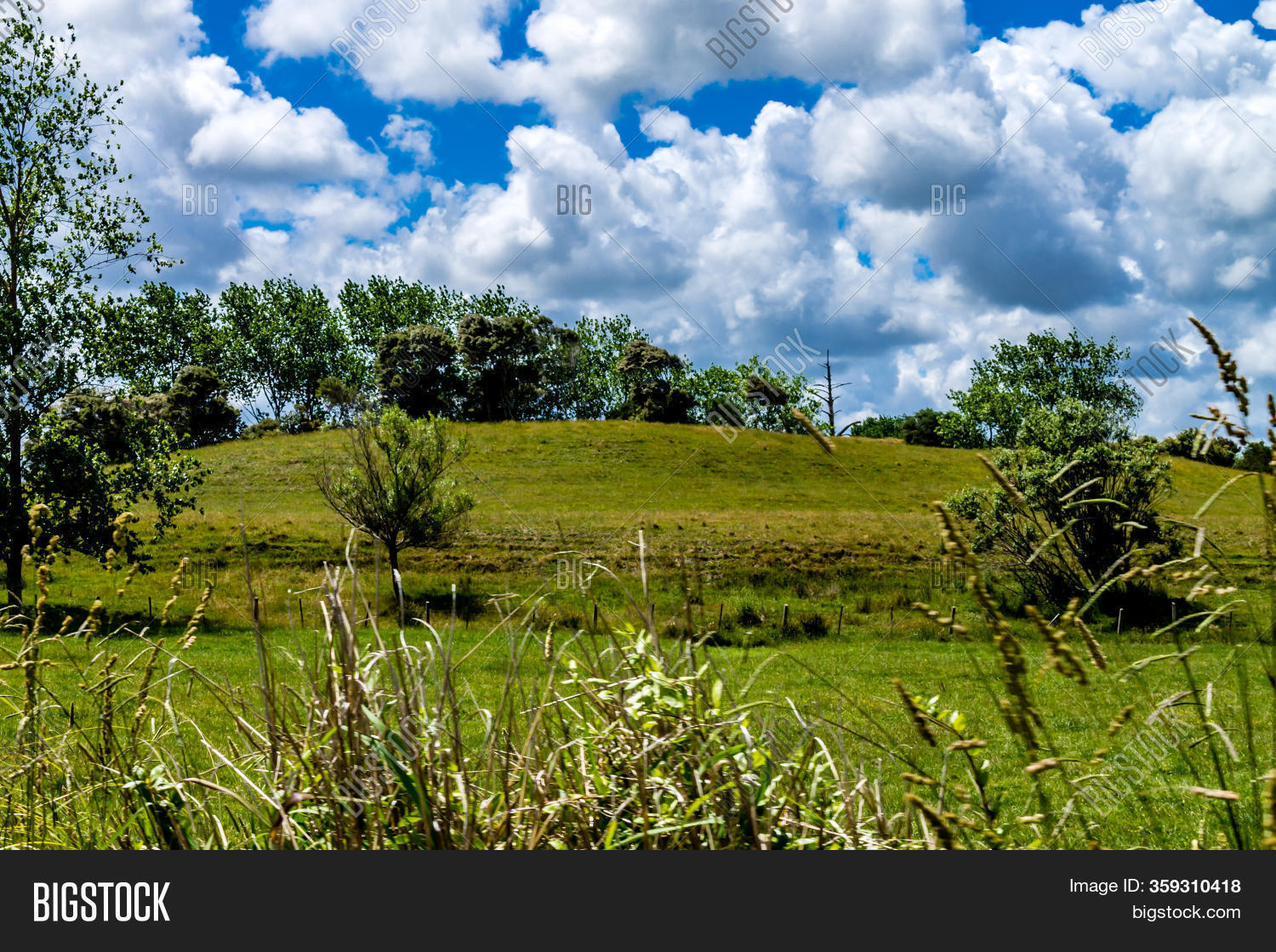 Wide Open Vistas Image & Photo (Free Trial) | Bigstock