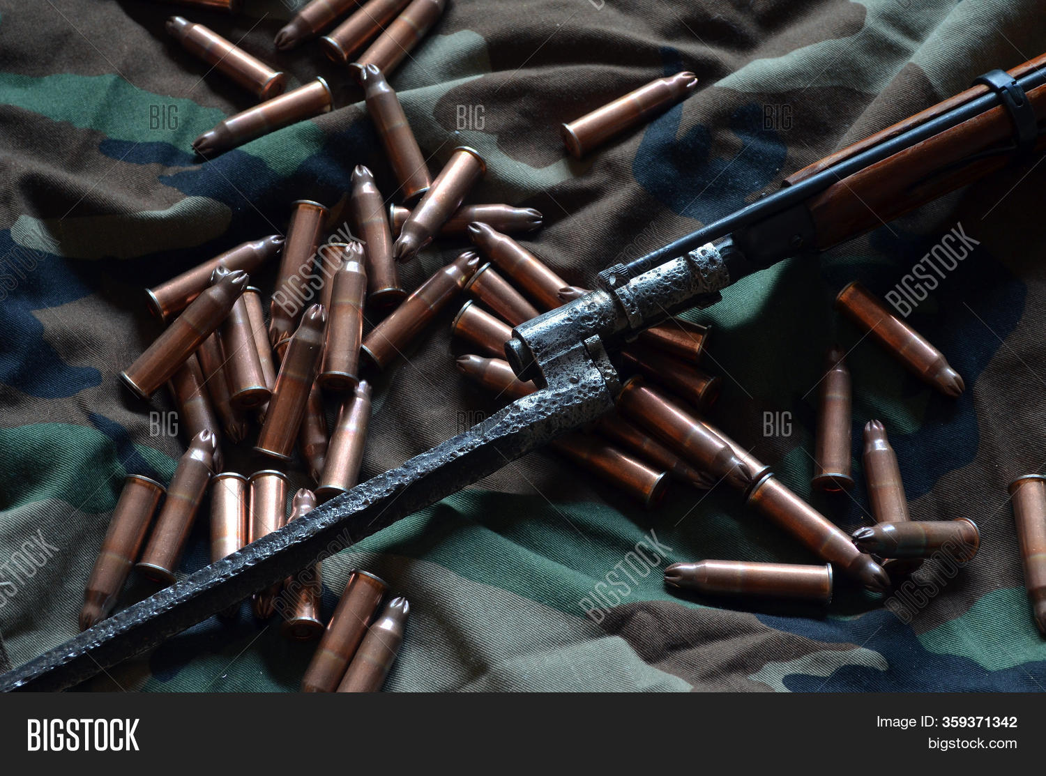 7.62x54 Blank Image & Photo (Free Trial) | Bigstock