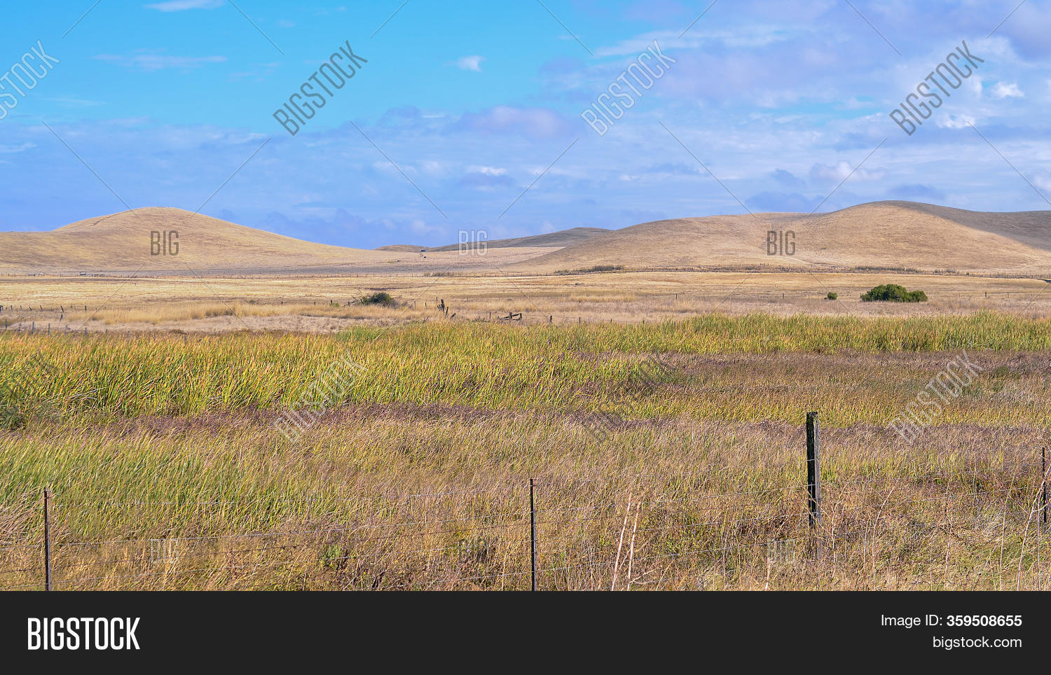 Very Dry Pasture Image & Photo (Free Trial) | Bigstock