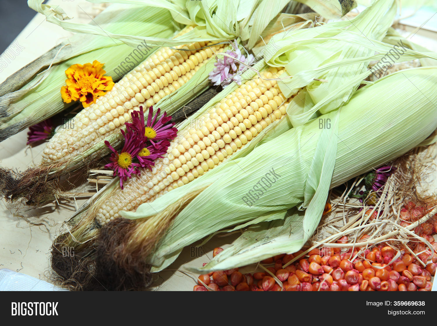 Ripe Corn On Wooden Image & Photo (Free Trial) | Bigstock