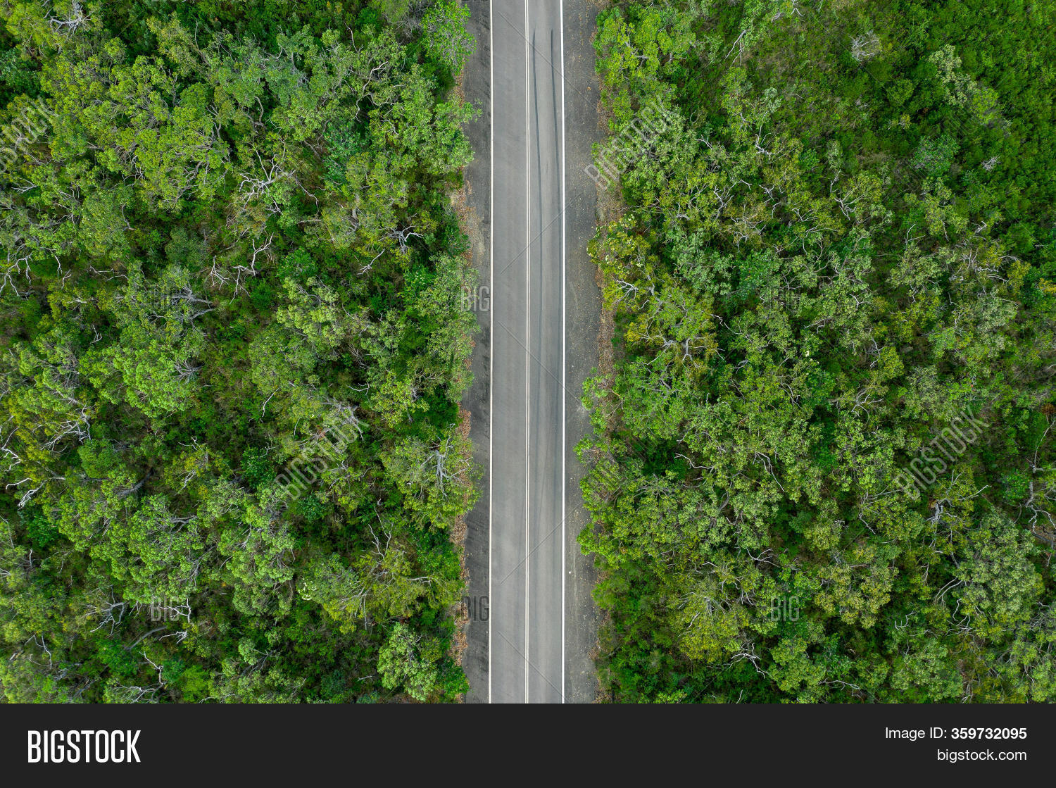Aerial View Green Image & Photo (Free Trial) | Bigstock