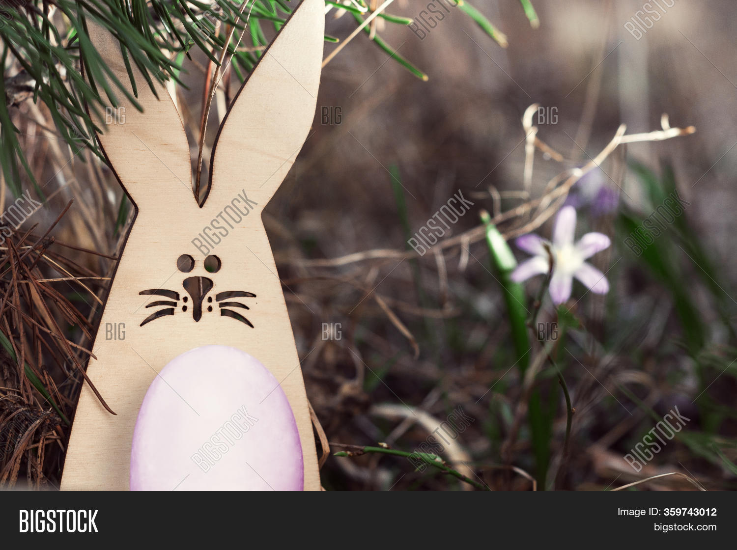 Easter Bunny Egg Hides Image & Photo (Free Trial) | Bigstock
