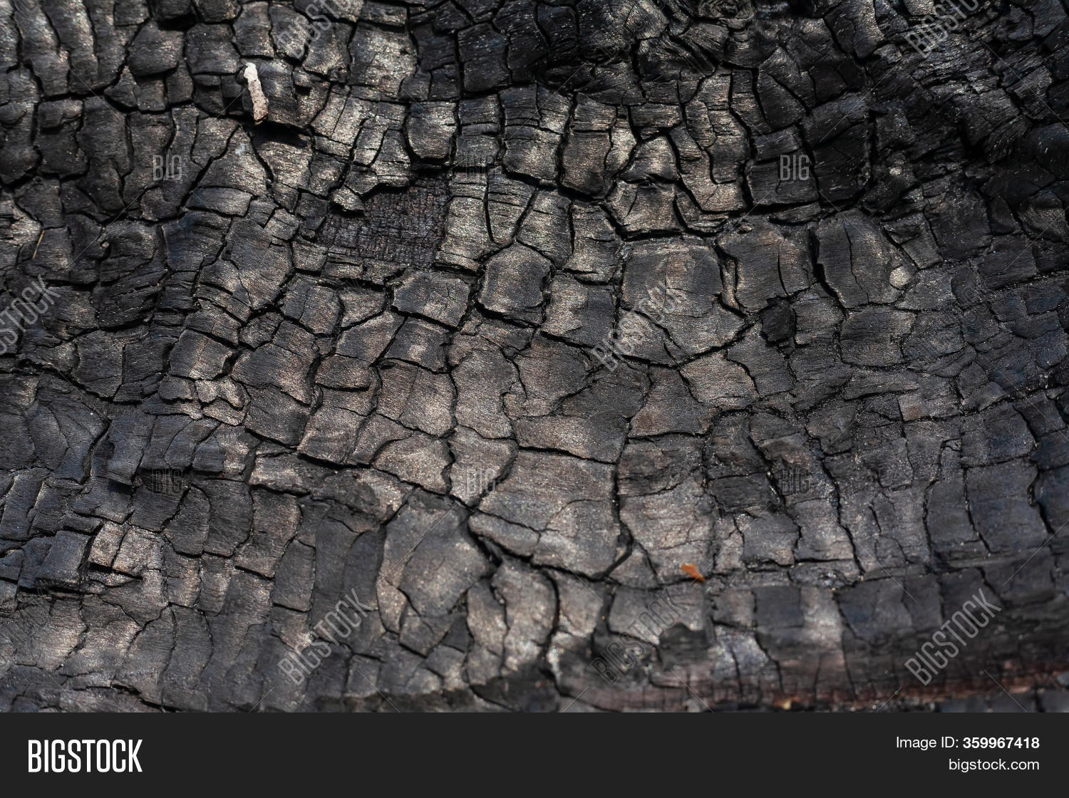 Coal Texture Close . Image & Photo (Free Trial) | Bigstock