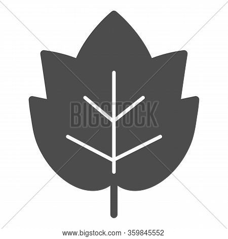 Grape Leaf Vector