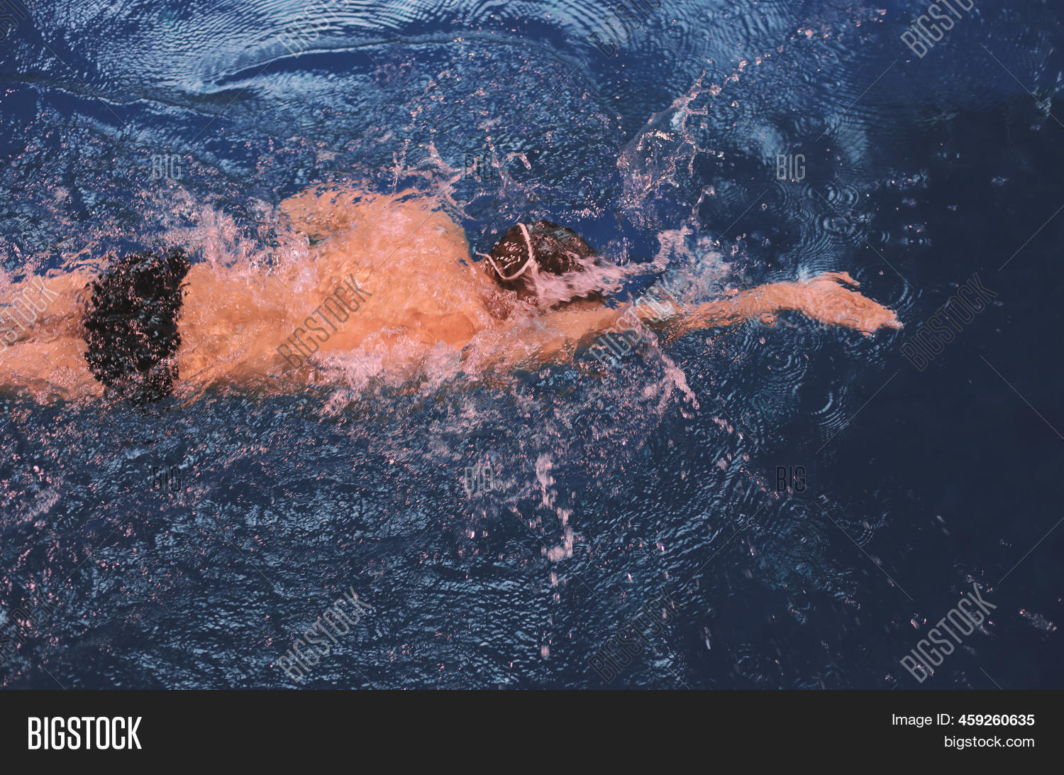 Male Swimmer Swimming Image And Photo Free Trial Bigstock