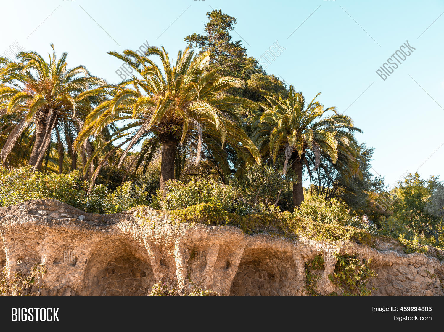 Stone Columns Trees Image & Photo (Free Trial) | Bigstock