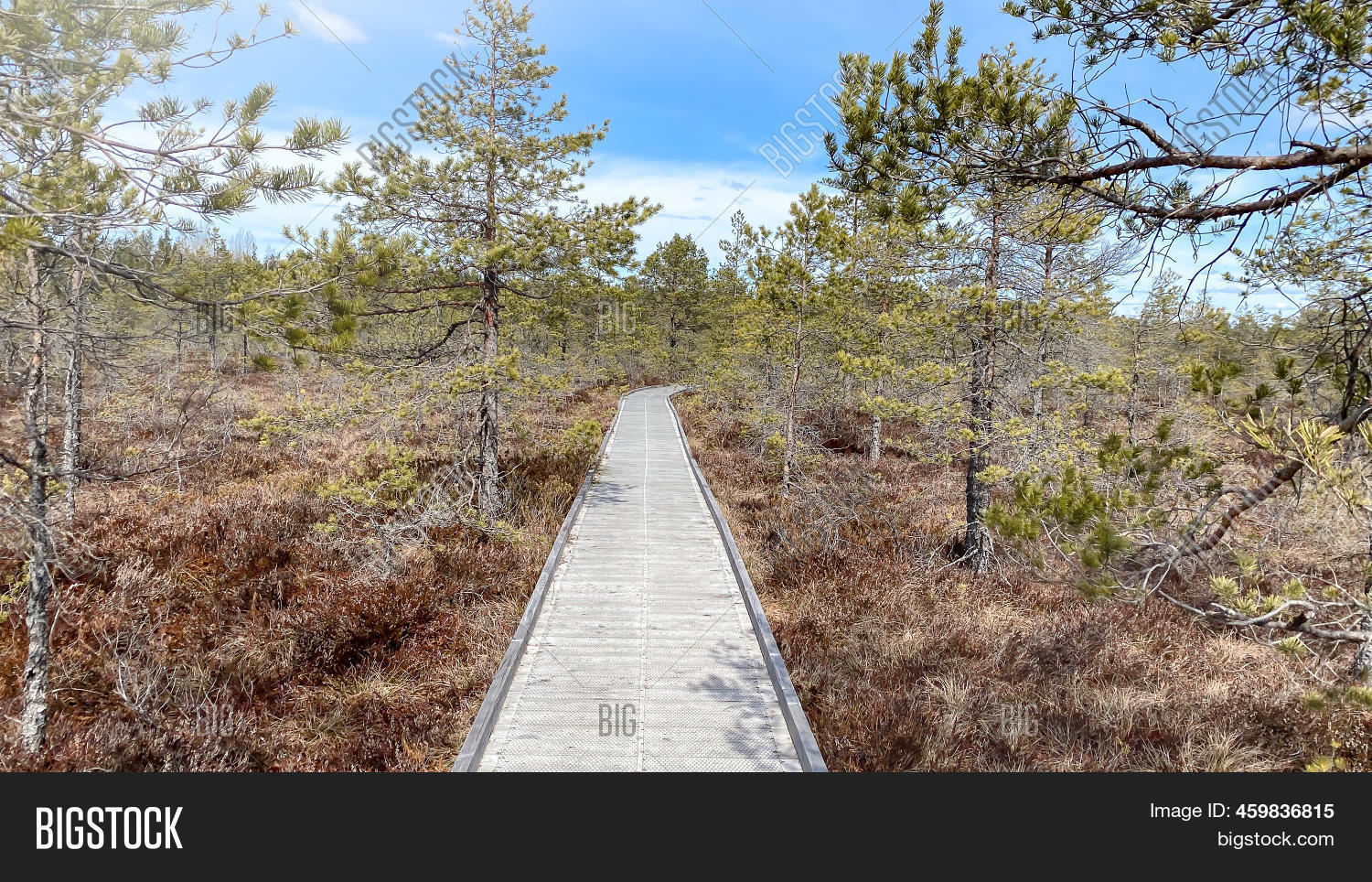 Wooden Pole Indicator Image & Photo (Free Trial) | Bigstock