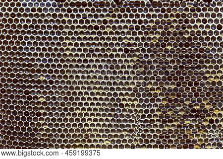 Closeup Honeycomb Image & Photo (Free Trial) | Bigstock