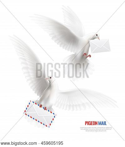 White Pigeons Set Vector & Photo (Free Trial) | Bigstock