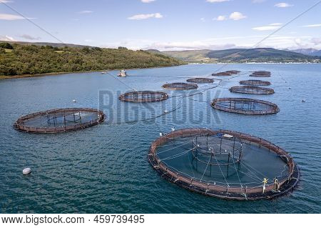 Fish Farming Nets Image & Photo (Free Trial) | Bigstock