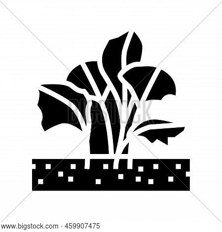 Live Aquatic Plant Vector & Photo (Free Trial) | Bigstock