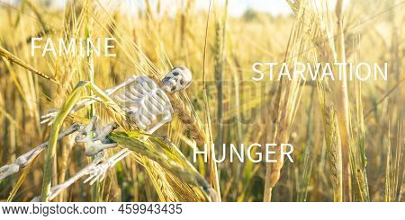 Starvation Images, Illustrations & Vectors (Free) - Bigstock
