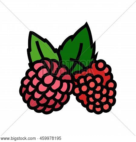 Raspberry Plant Leaf Vector & Photo (Free Trial) | Bigstock
