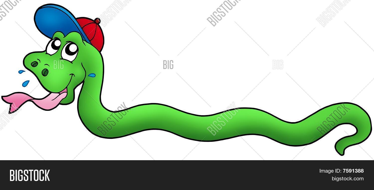 Cartoon Snake Baseball Image & Photo (Free Trial) | Bigstock