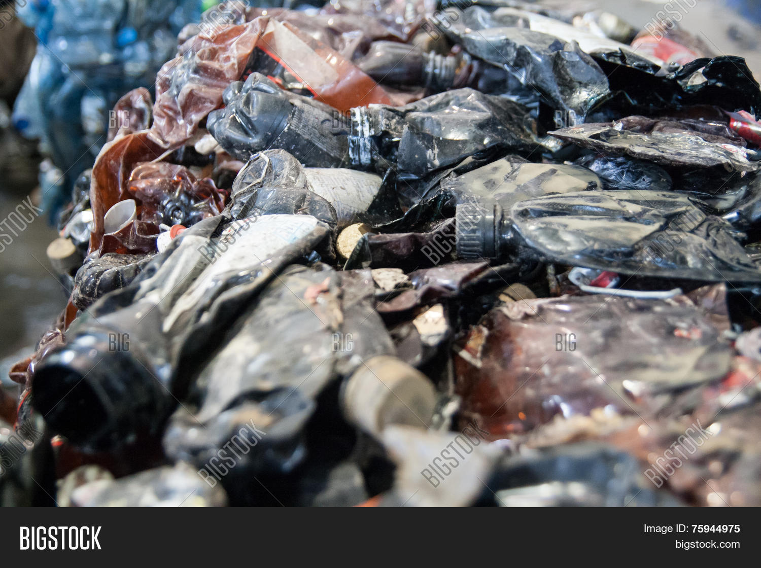 Segregated Plastic Image & Photo (Free Trial) | Bigstock