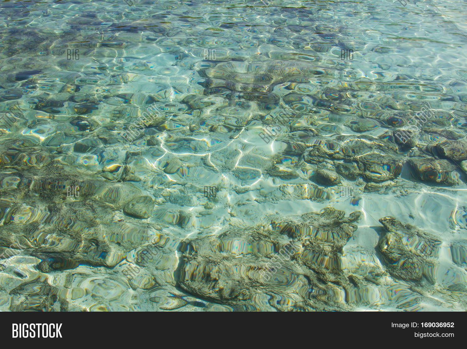 Crystal Clear Water Image & Photo (Free Trial) | Bigstock