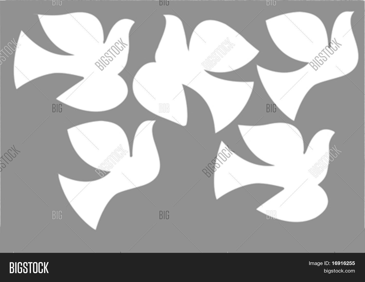 Vector Vektori ja valokuva (ilmainen kokeilu) | Bigstock