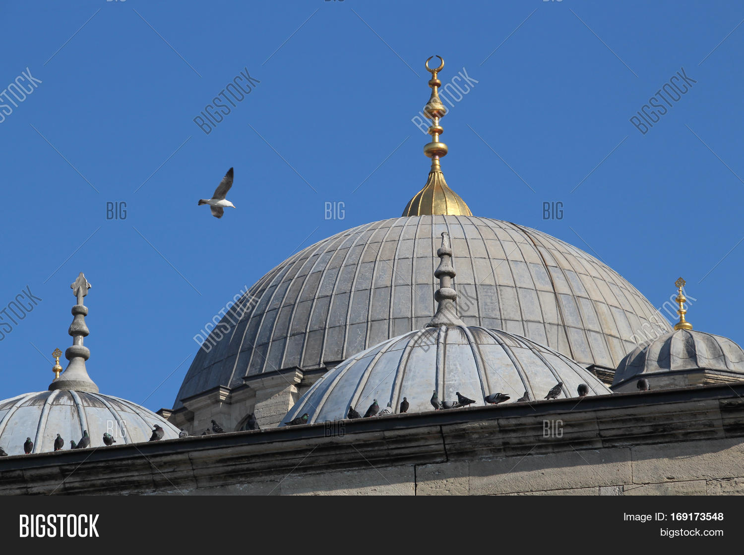 Large Dome Three Semi- Image & Photo (Free Trial) | Bigstock
