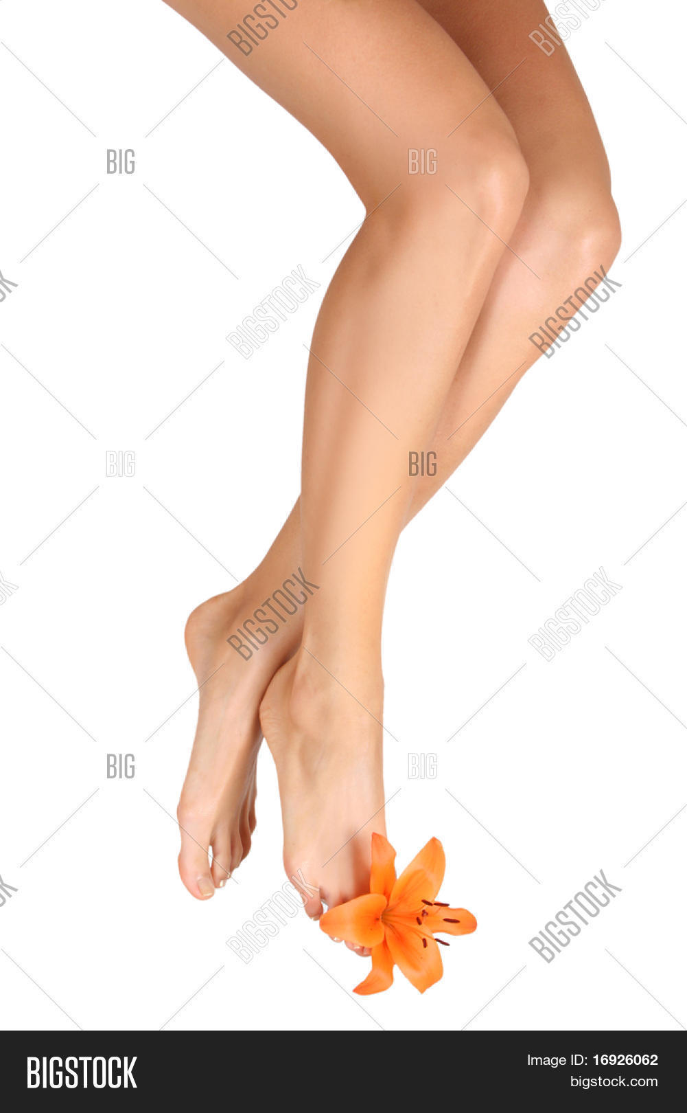 Beautiful Legs Lily Image & Photo (Free Trial) | Bigstock
