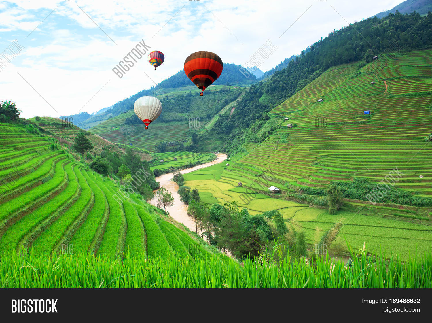 Balloons Float Over Image & Photo (Free Trial) | Bigstock