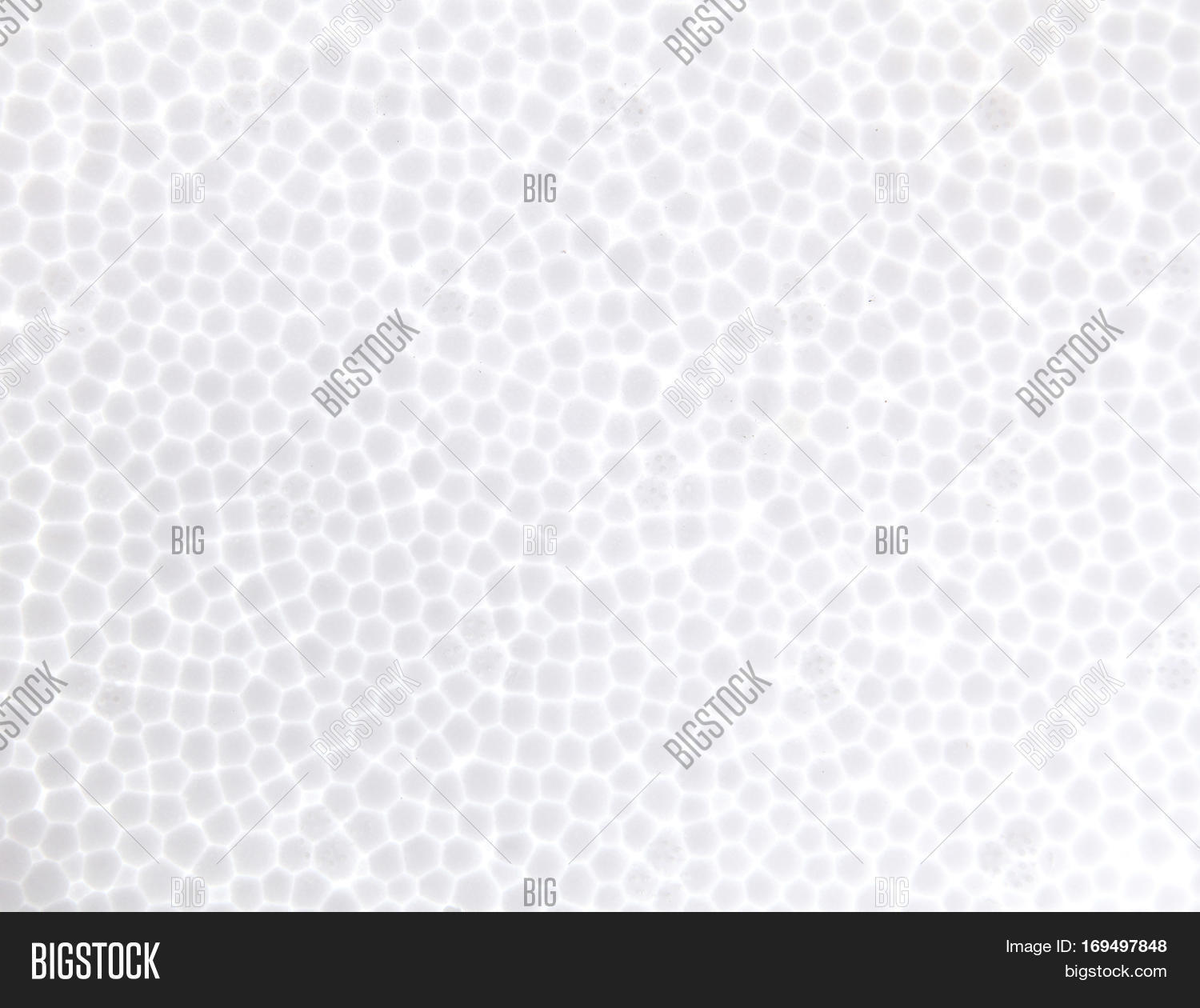 Seamless Polystyrene Image & Photo (Free Trial) | Bigstock