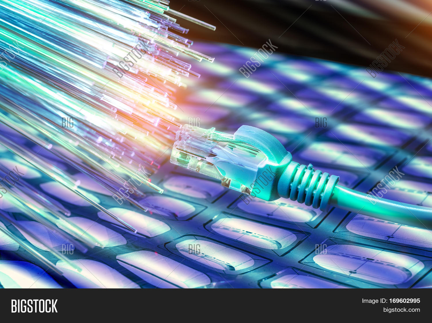 Network Cables Closeup Image & Photo (Free Trial) | Bigstock