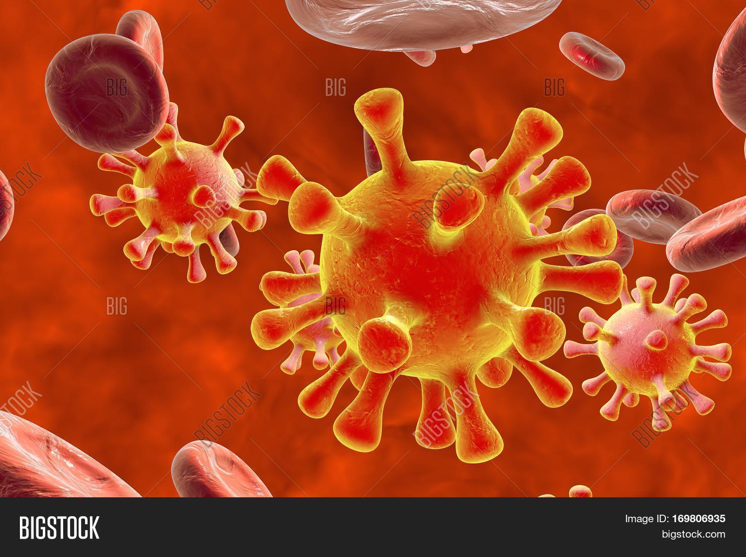 HIV AIDS Viruses Blood Image & Photo (Free Trial) | Bigstock