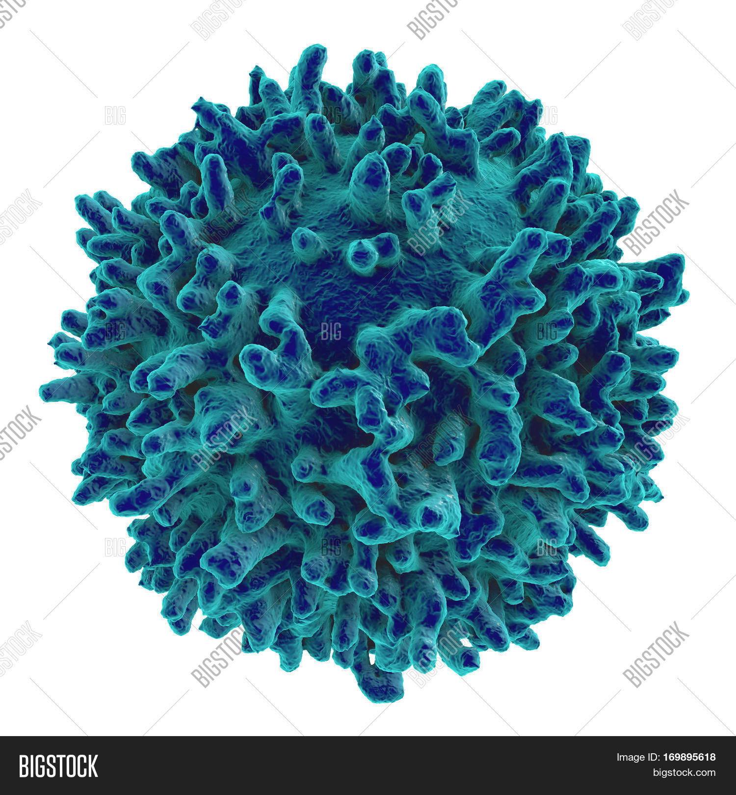 White Blood Cell, Image & Photo (Free Trial) | Bigstock