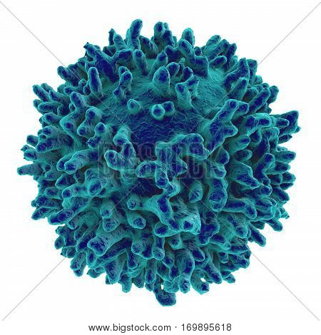 White Blood Cell, Image & Photo (Free Trial) | Bigstock