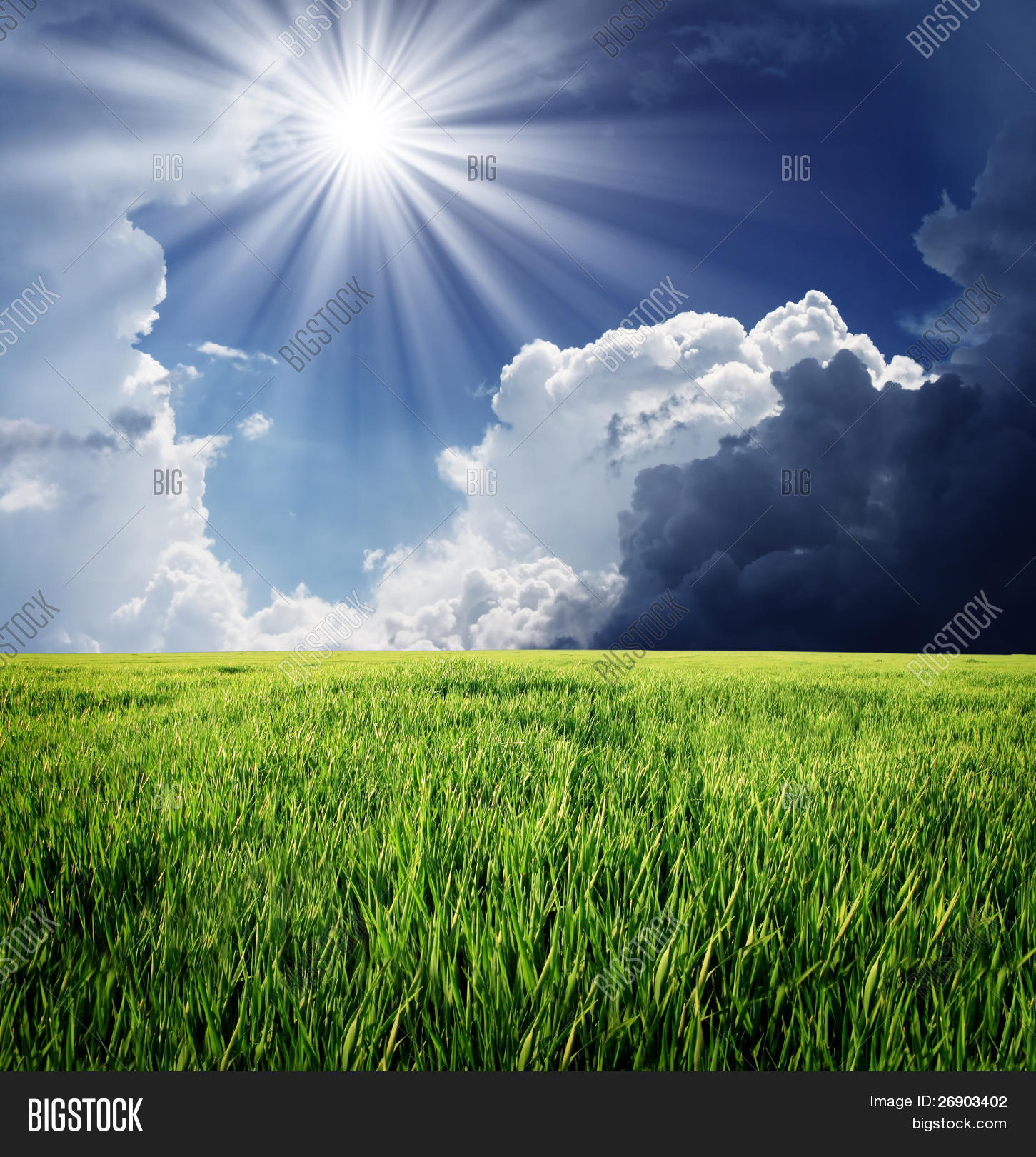 Spring Field Beautiful Image & Photo (Free Trial) | Bigstock
