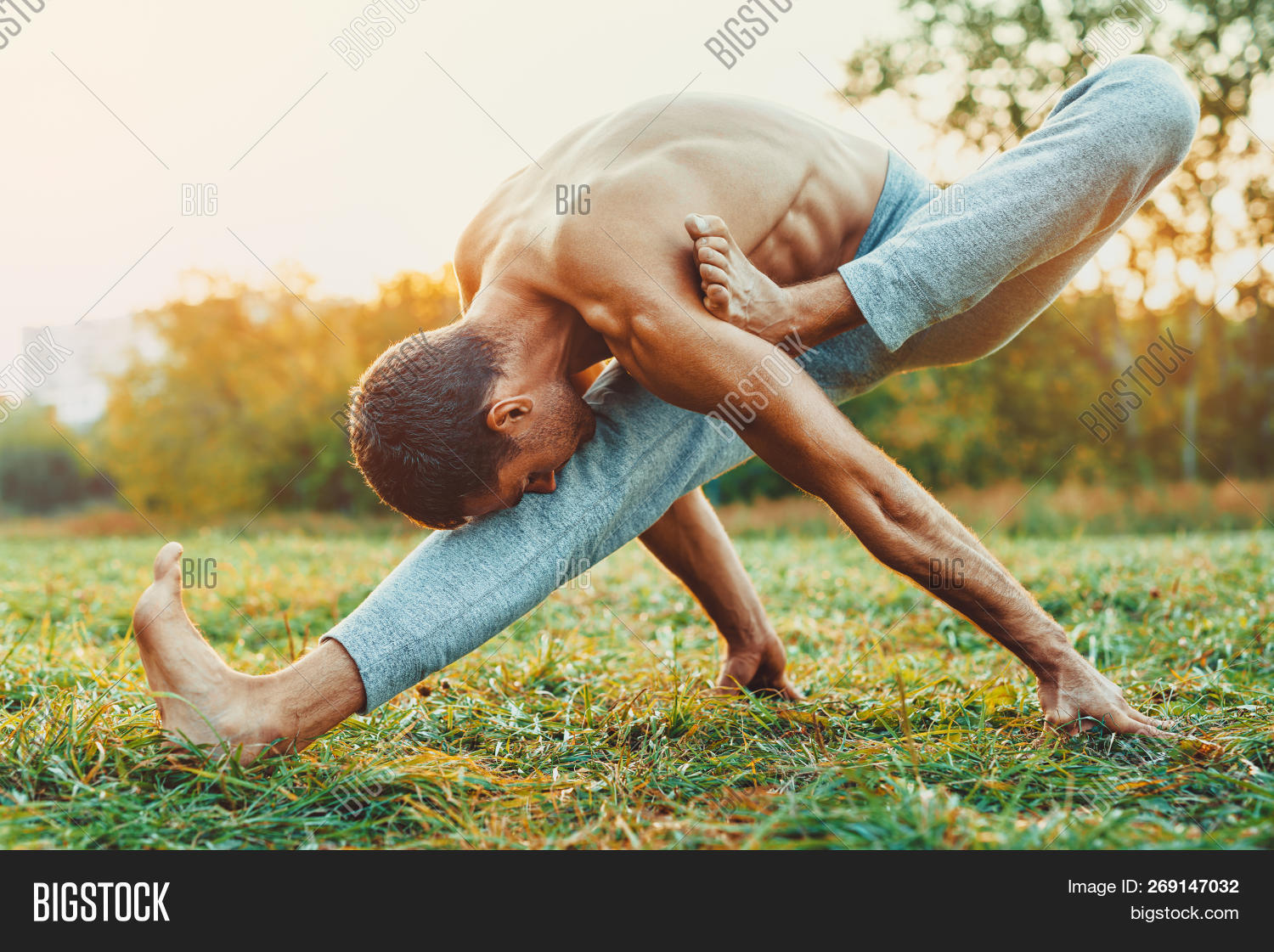 Imagen y foto Yogi Man Training (prueba gratis) | Bigstock
