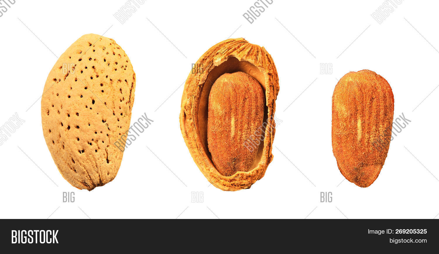 Almond Shell Shelled Image & Photo (Free Trial) | Bigstock