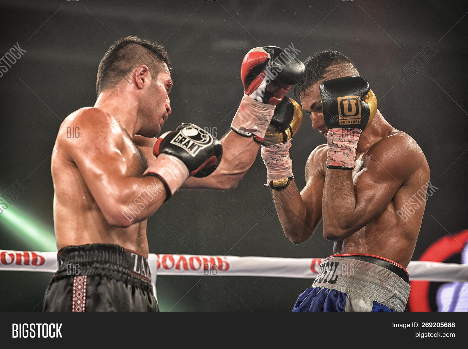 Unidentified Boxers Image & Photo (Free Trial) | Bigstock