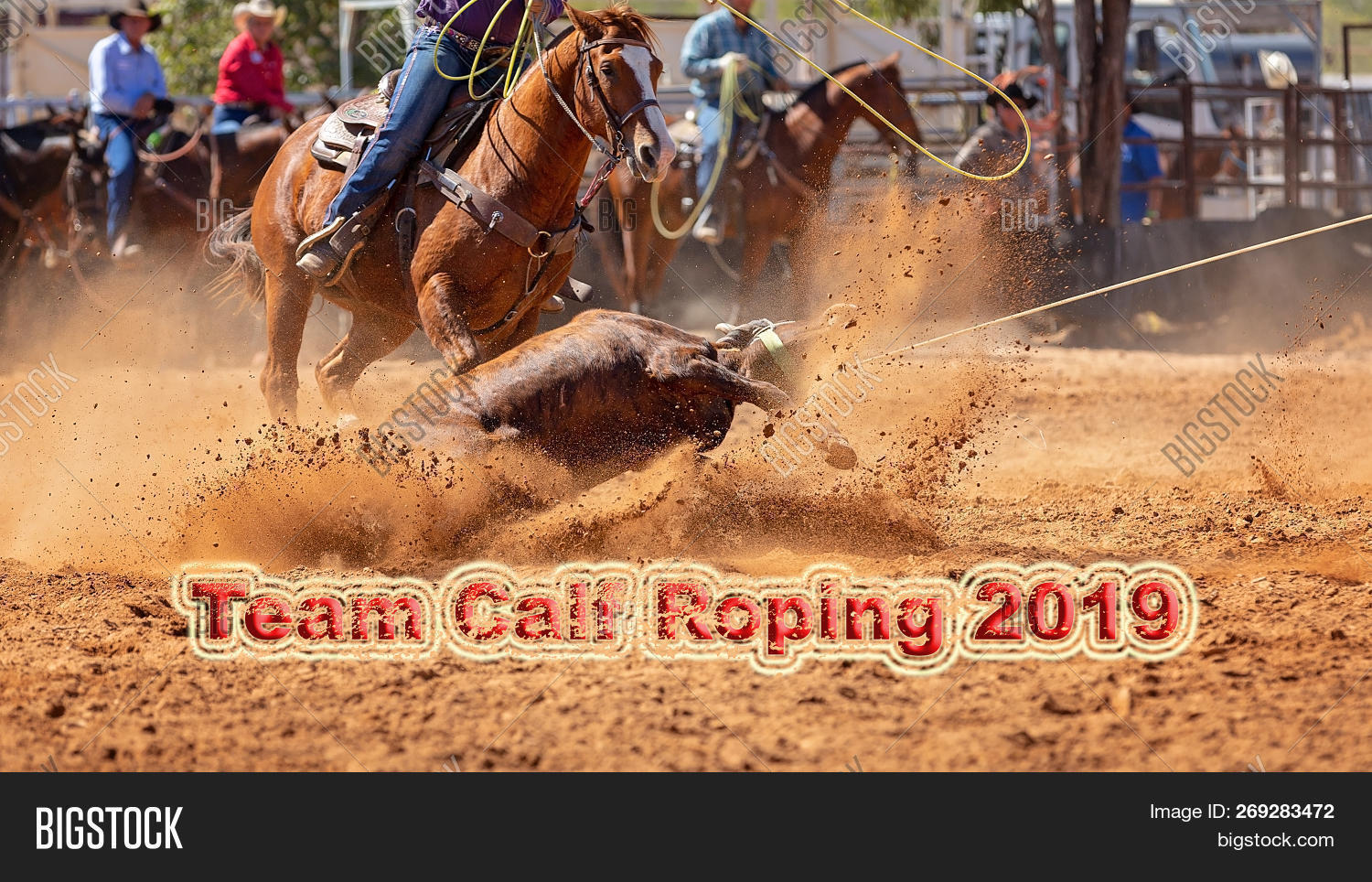 Team Calf Roping 2019 Image & Photo (Free Trial) | Bigstock