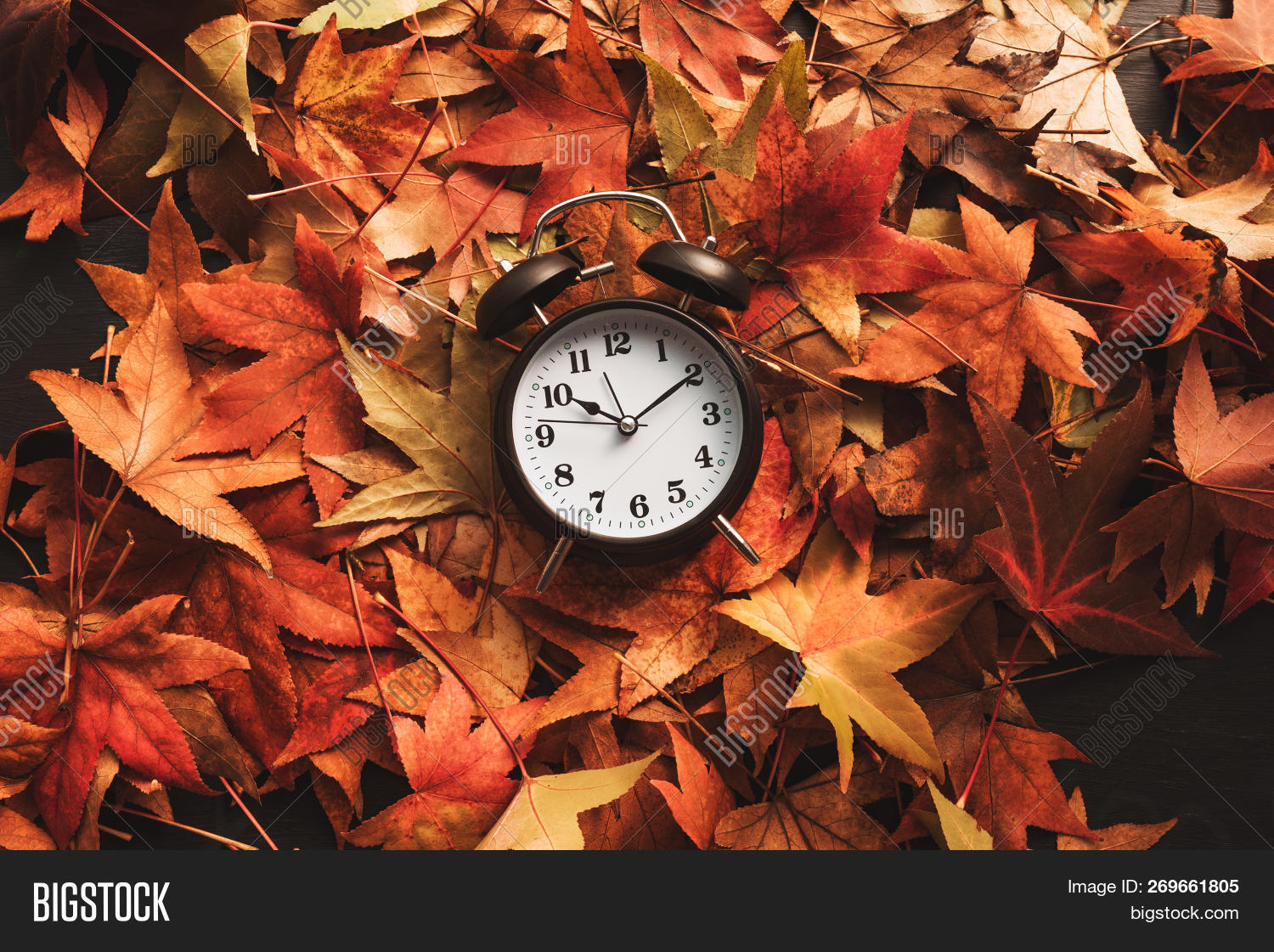 Autumn Season Time, Image & Photo (Free Trial) | Bigstock