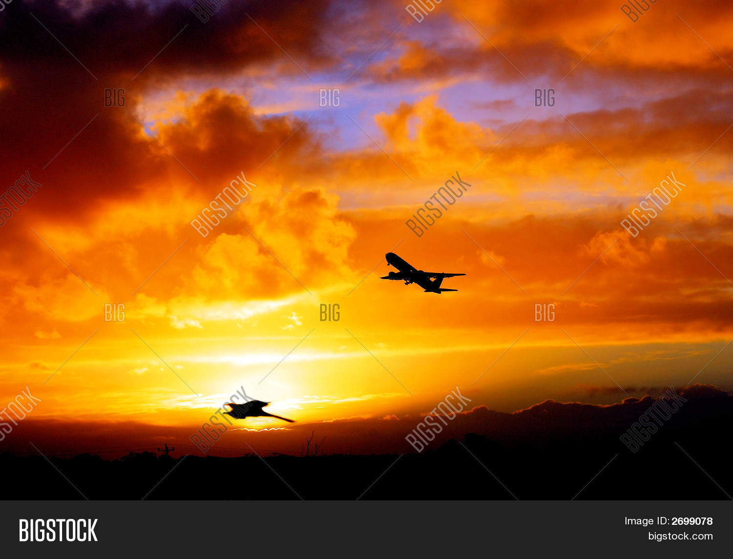 Airplane Sunset Image & Photo (Free Trial) | Bigstock