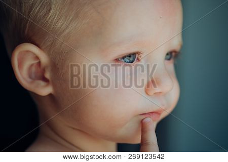 Do Not Cry. Little Boy Image & Photo (Free Trial) | Bigstock