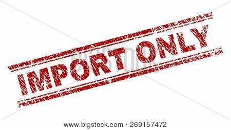 Import Only Seal Vector & Photo (Free Trial) | Bigstock