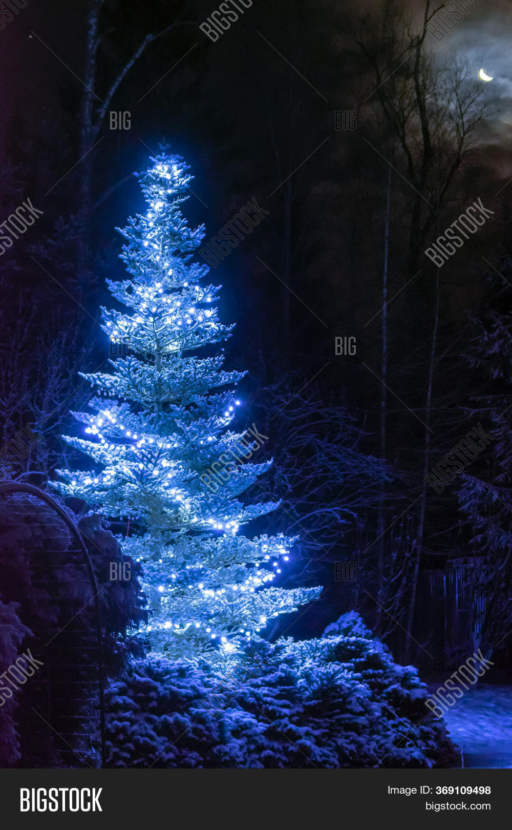 Snow Covered Christmas Image & Photo (Free Trial) | Bigstock
