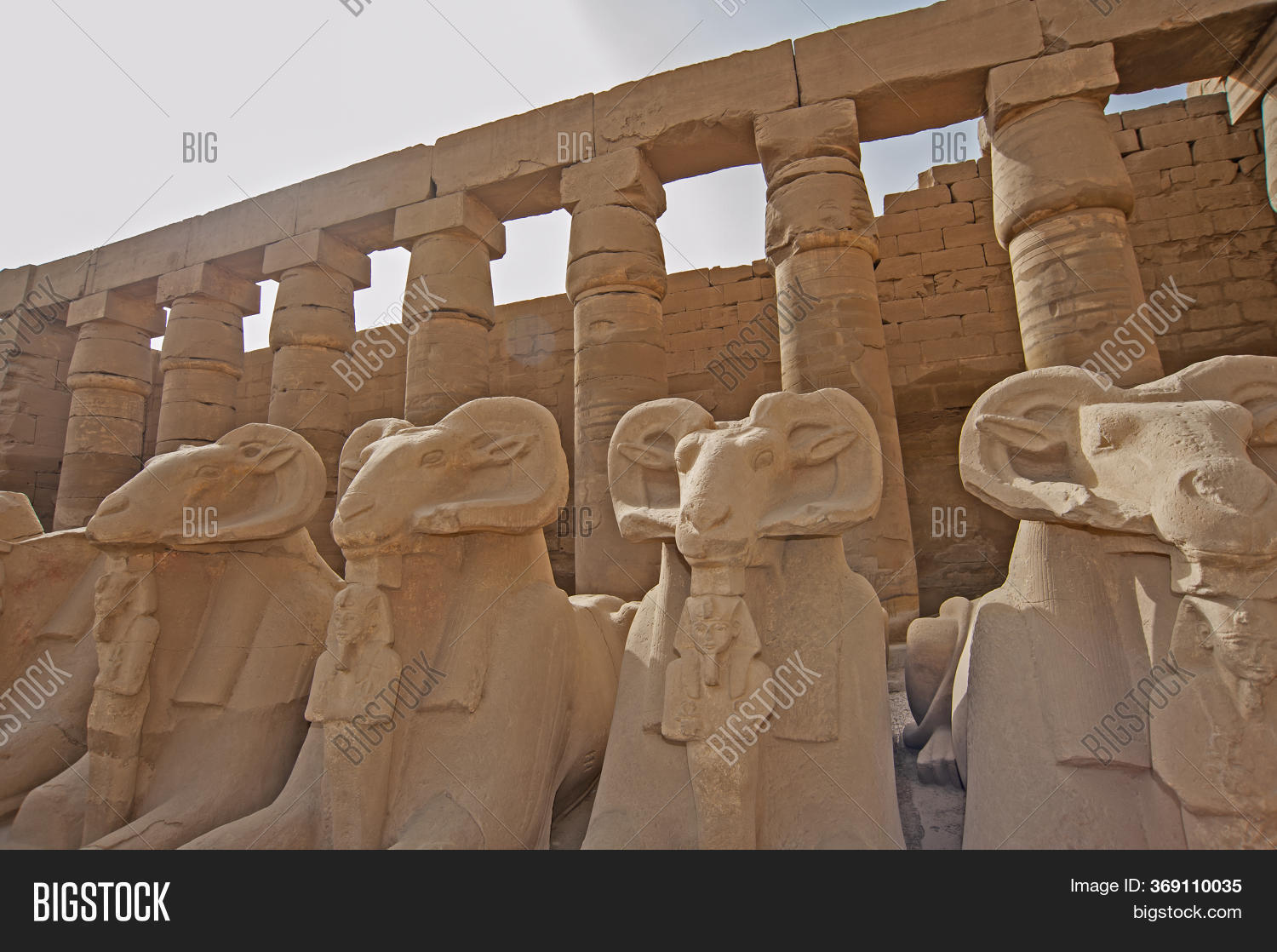 Ancient Egyptian Ram Image & Photo (Free Trial) | Bigstock